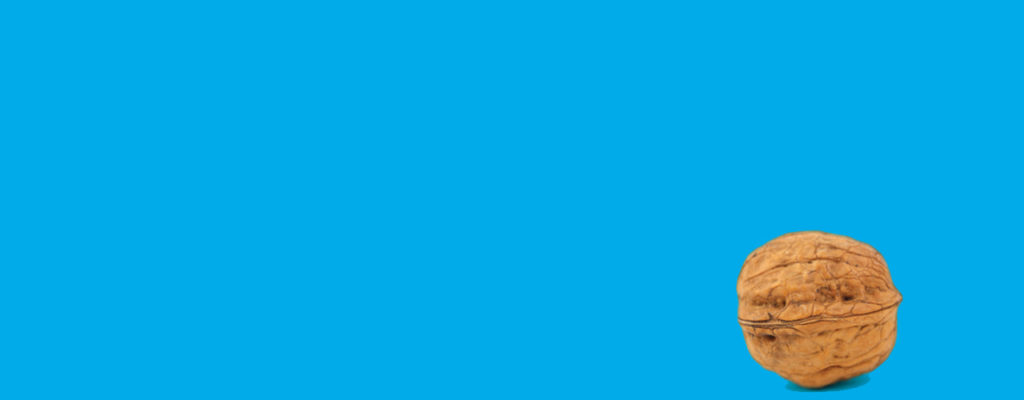 Nutshell Technique - The Screenplay Workshop with Jill Chamberlain